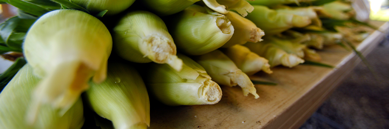 City Market / Onion River Co-op