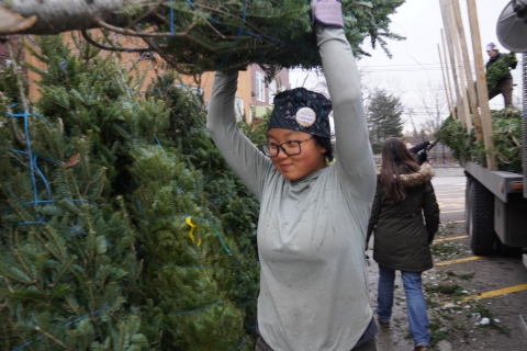 COTS Tree Sale | City Market / Onion River Co-op