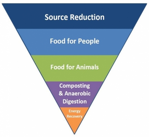 The Dish Recap: Food Waste | City Market / Onion River Co-op